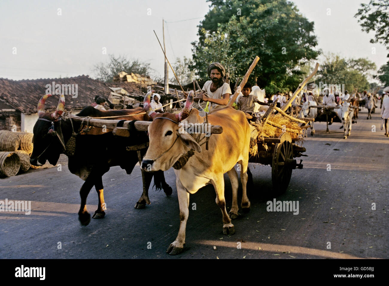 Bhil tribal market Stock Photo - Alamy