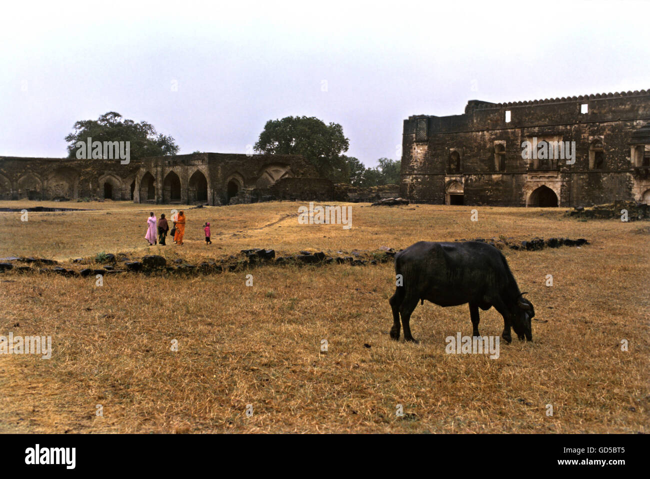 Ruins near the Shahi Mahal Stock Photo - Alamy