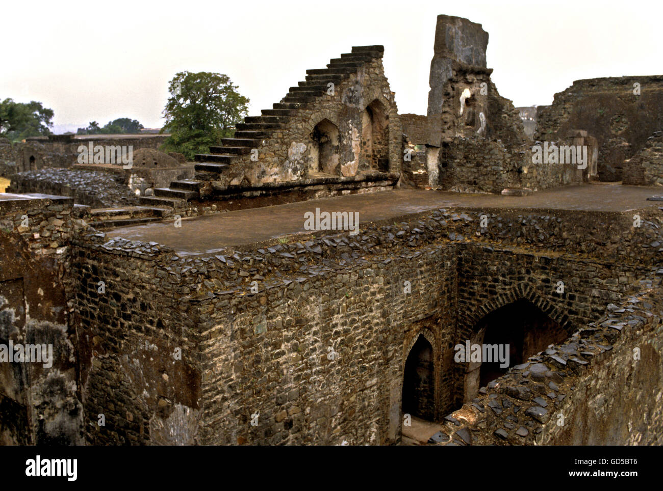 Shahi hi-res stock photography and images - Alamy
