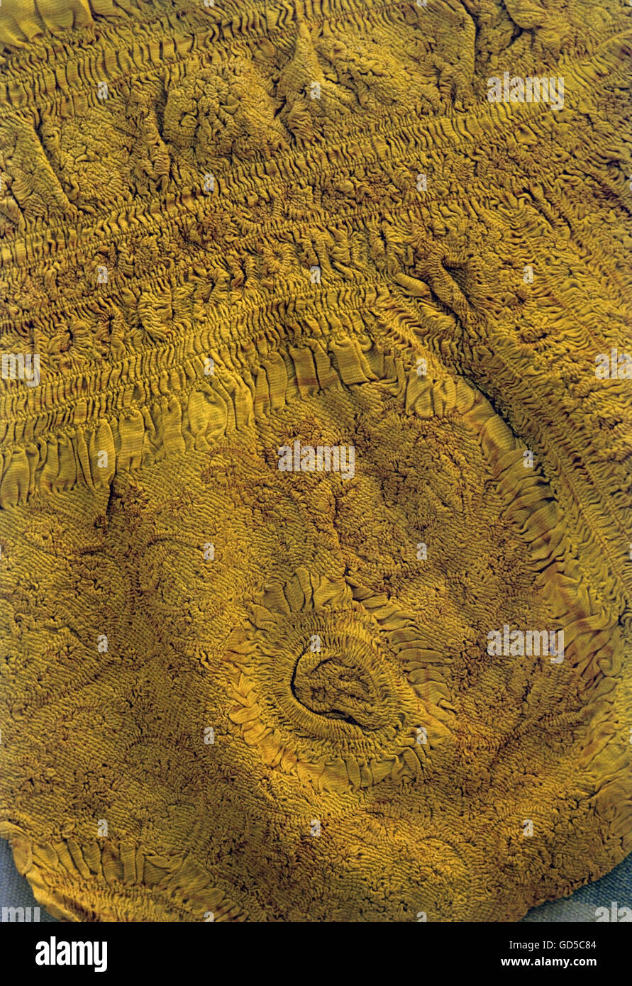 Orhni hi-res stock photography and images - Alamy