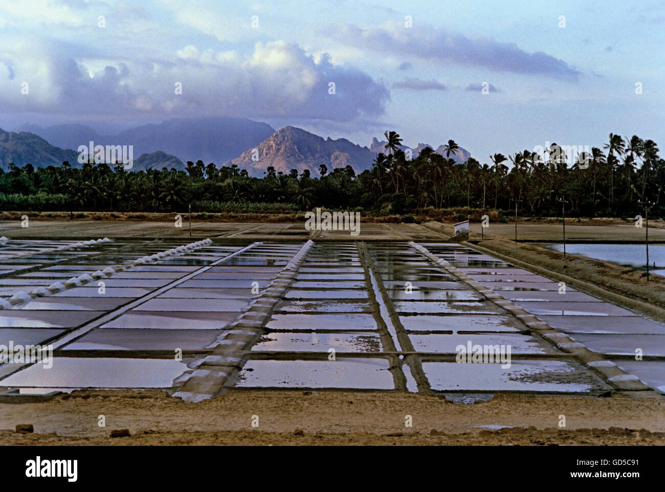 Salt pan india hi-res stock photography and images - Alamy