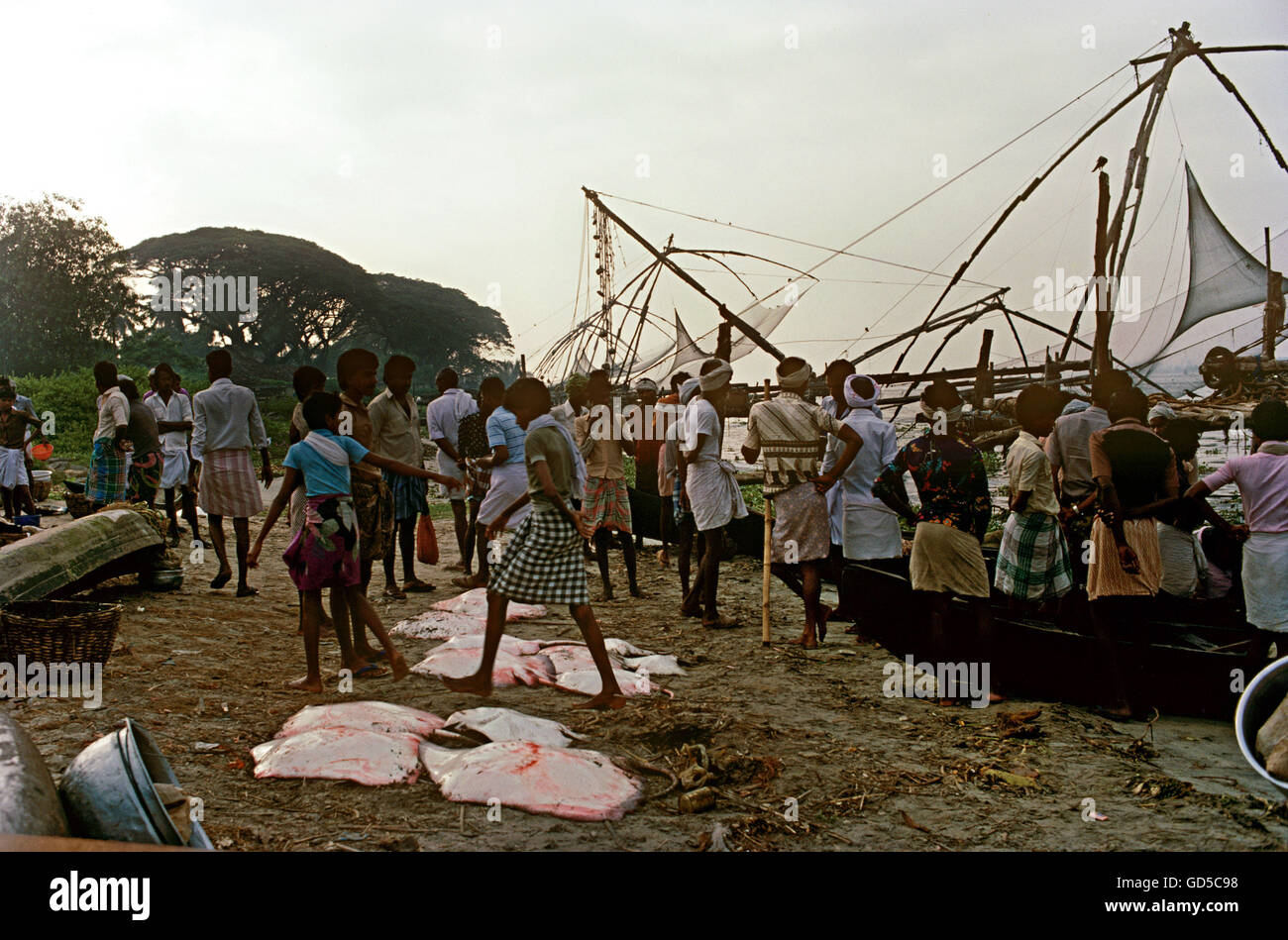 Buying fresh fish Stock Photo - Alamy