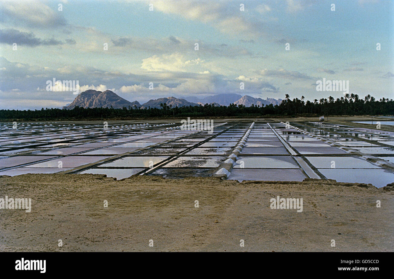 Salt pans tamil nadu india hi-res stock photography and images - Alamy