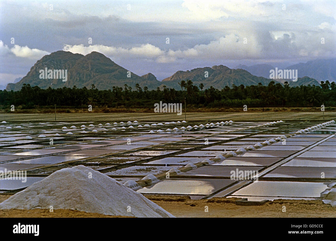 Salt pans tamil nadu india hi-res stock photography and images - Alamy