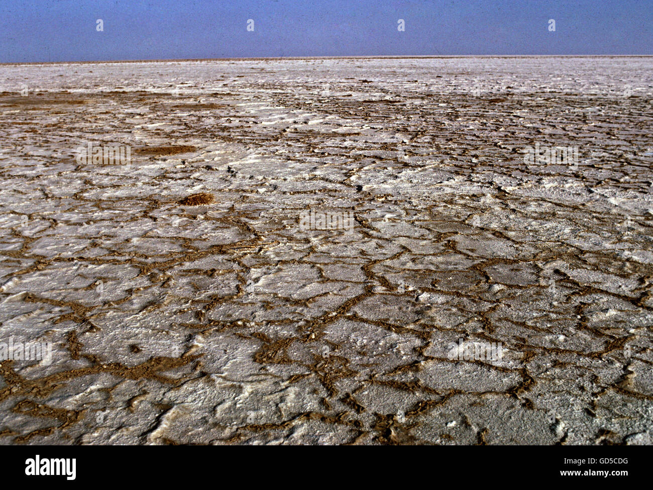 India salt marsh hi-res stock photography and images - Alamy