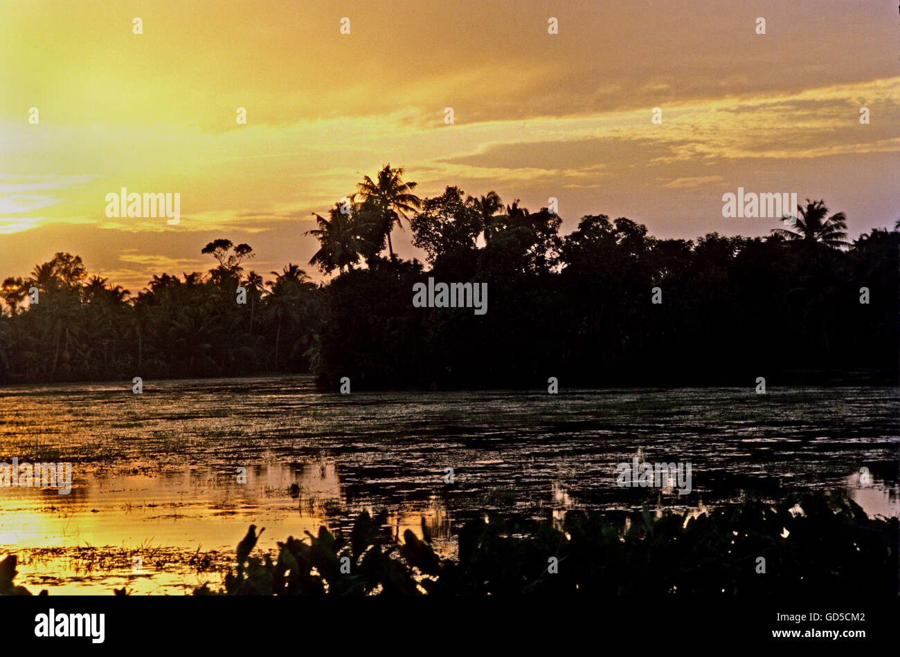 Backwaters of Kerala, India Stock Photo - Alamy