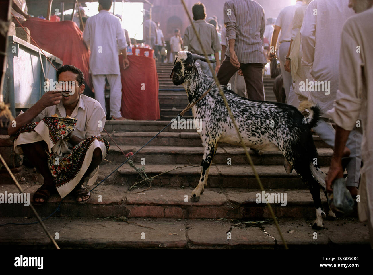 Bakr id hi-res stock photography and images - Alamy