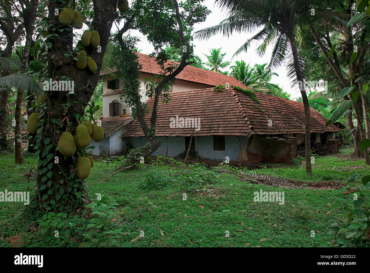Brahmin house hi-res stock photography and images - Alamy