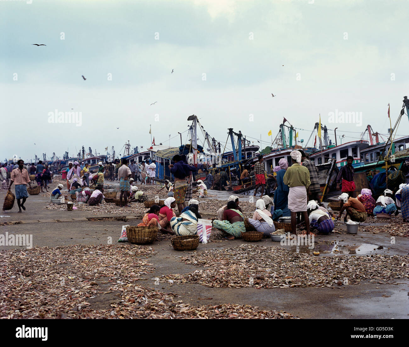 Quilon hi-res stock photography and images - Alamy