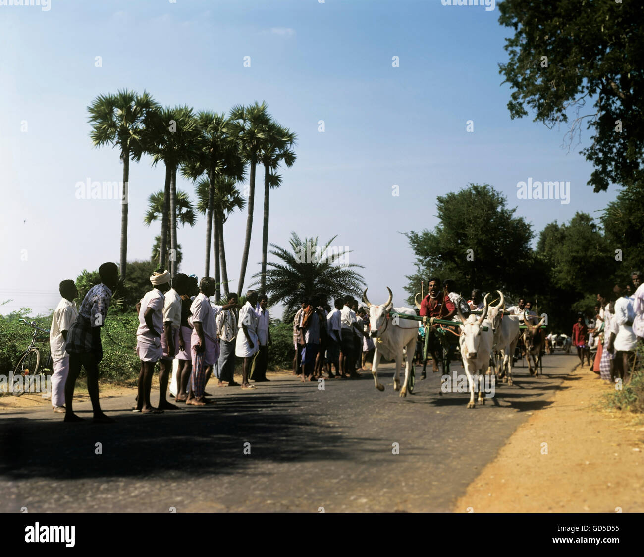 Race cart hi-res stock photography and images - Alamy