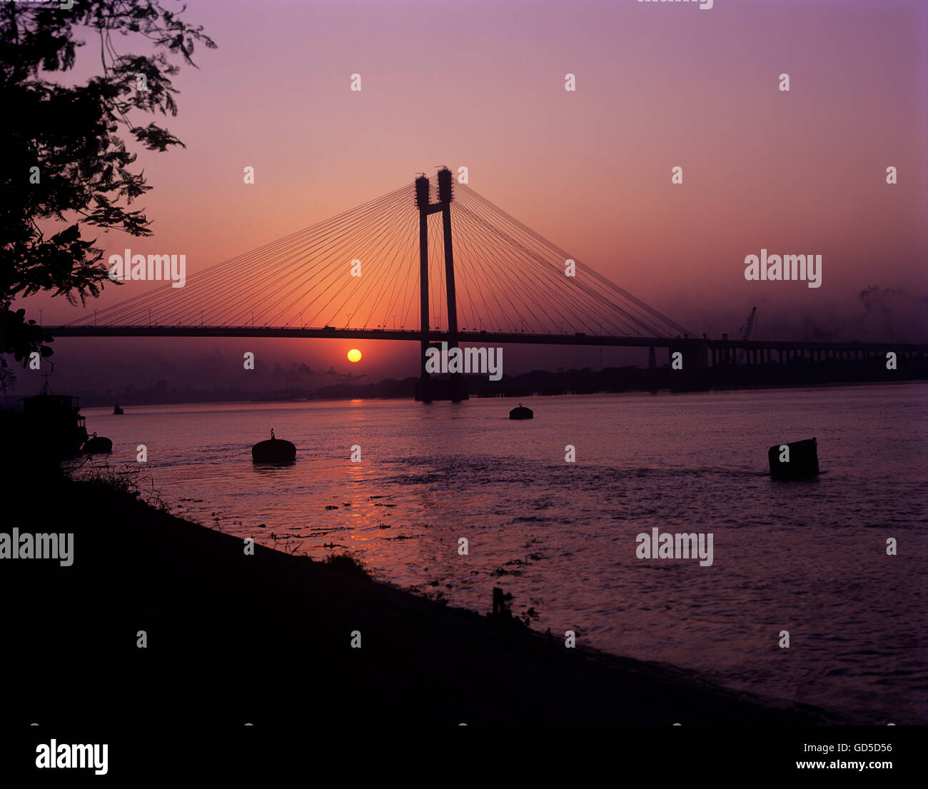 Vidyasagar hi-res stock photography and images - Alamy