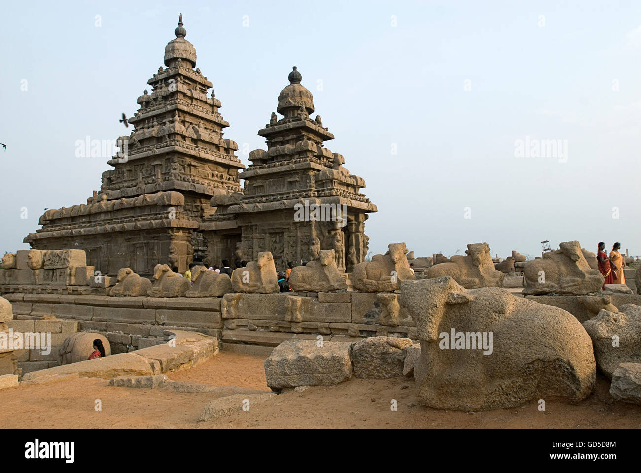 Shore Temple Stock Photo - Alamy