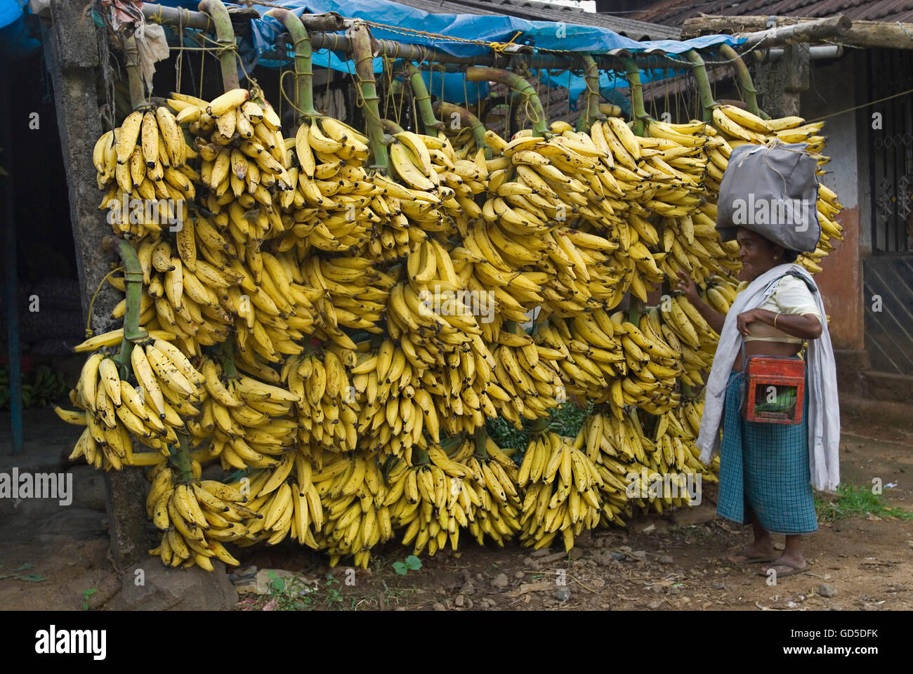 A banana shop Stock Photo - Alamy