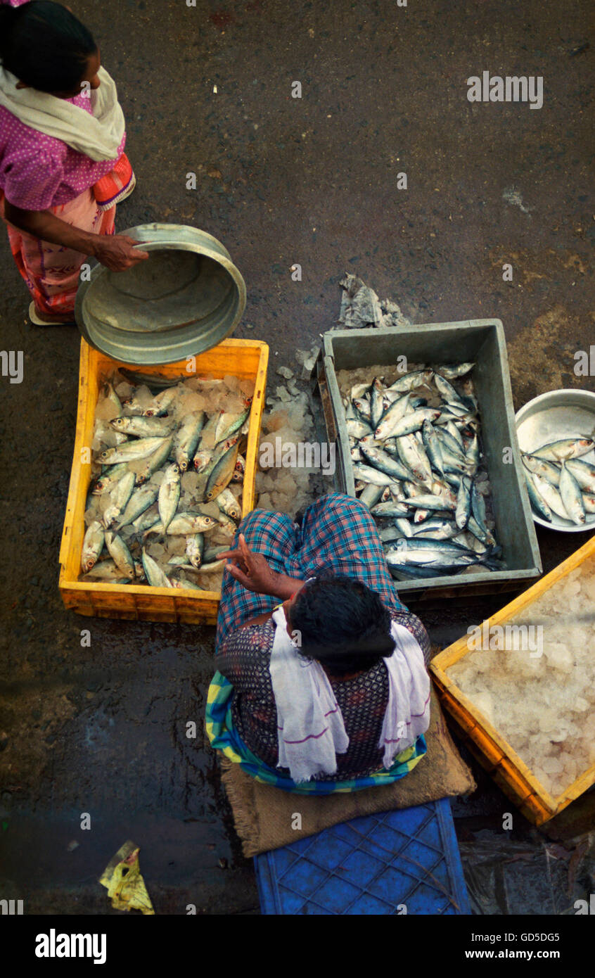 Women selling fish Stock Photo - Alamy