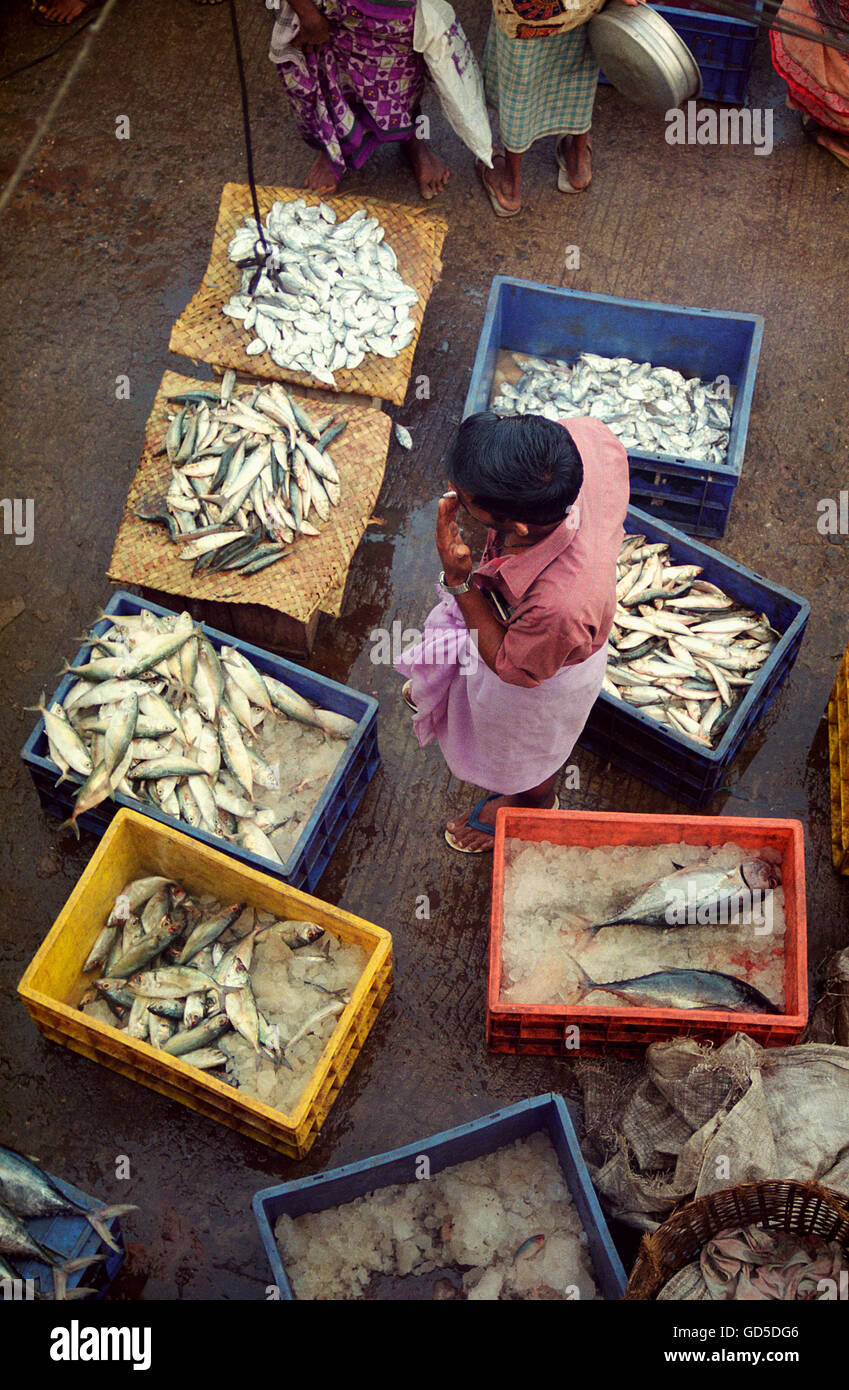 Man selling fish Stock Photo - Alamy