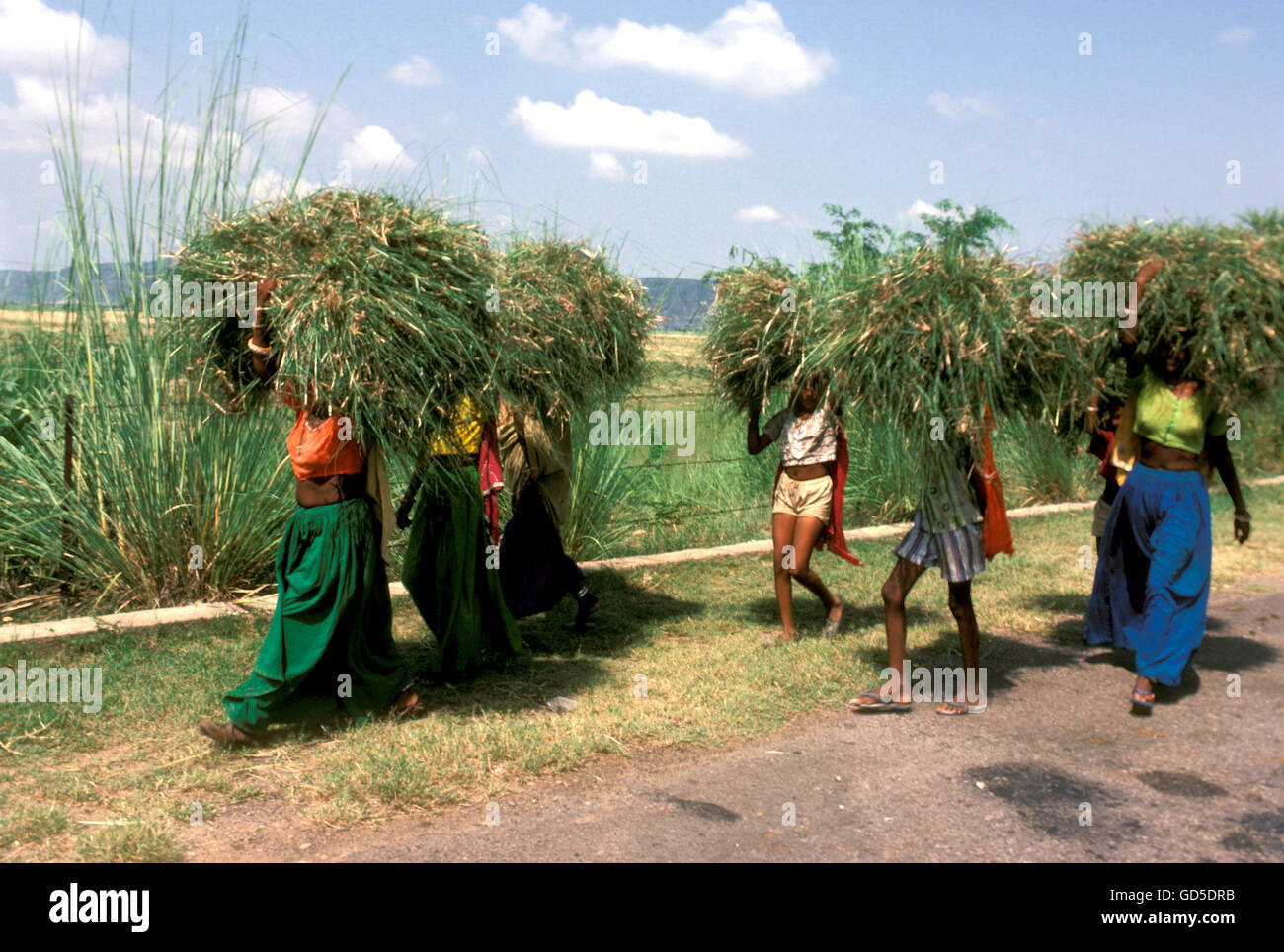 Women Labourer High Resolution Stock Photography and Images - Alamy