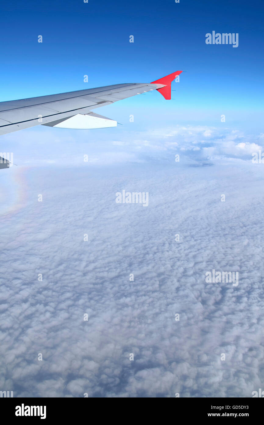 Wing of a plane Stock Photo - Alamy