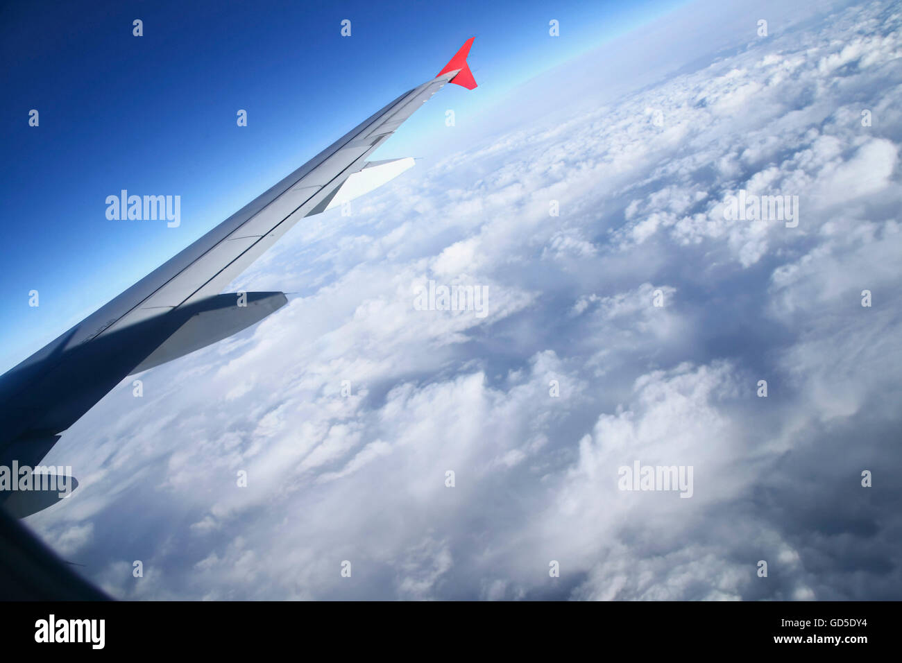 Wing of a plane Stock Photo - Alamy