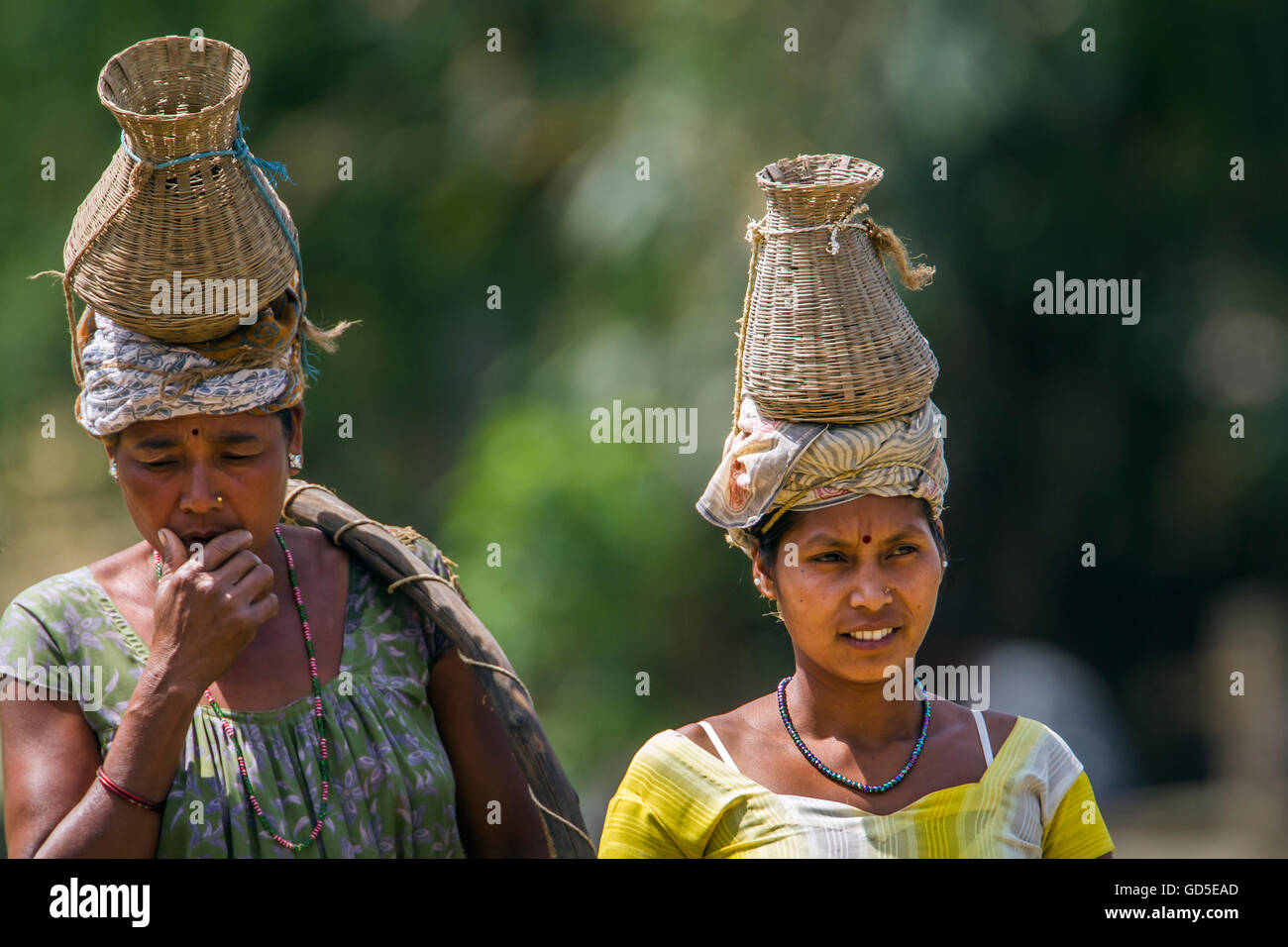Tharu people and bardia hi-res stock photography and images - Alamy