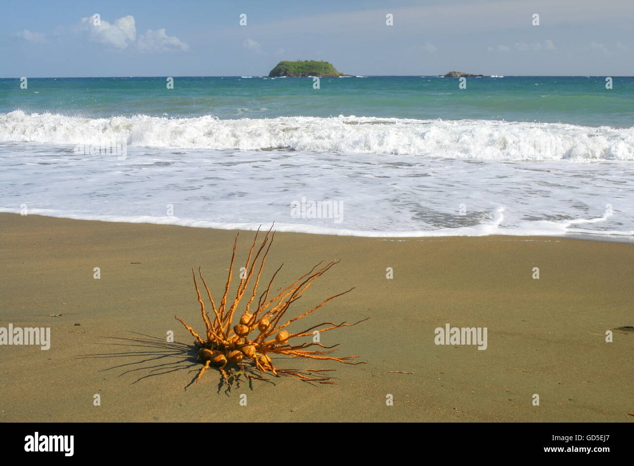 View of the beach in Trinidad and Tobago / landscape Stock Photo - Alamy