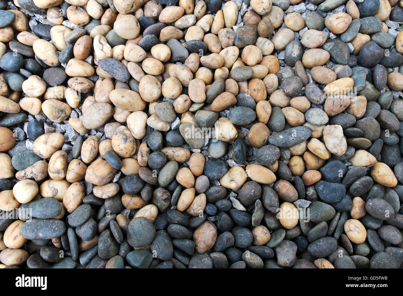 Colorful round rocks floor background with a black and white round rock ...