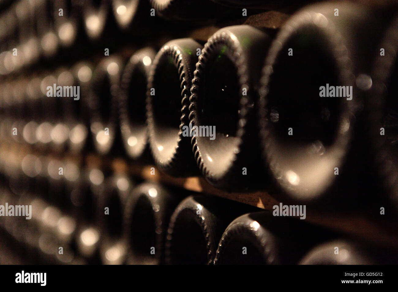 Cava bottles in a cellar of the Penedés wine region, Catalonia, Spain ...