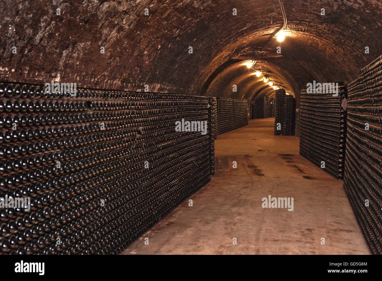 Cava bottles in a cellar of the Penedés wine region, Catalonia, Spain ...