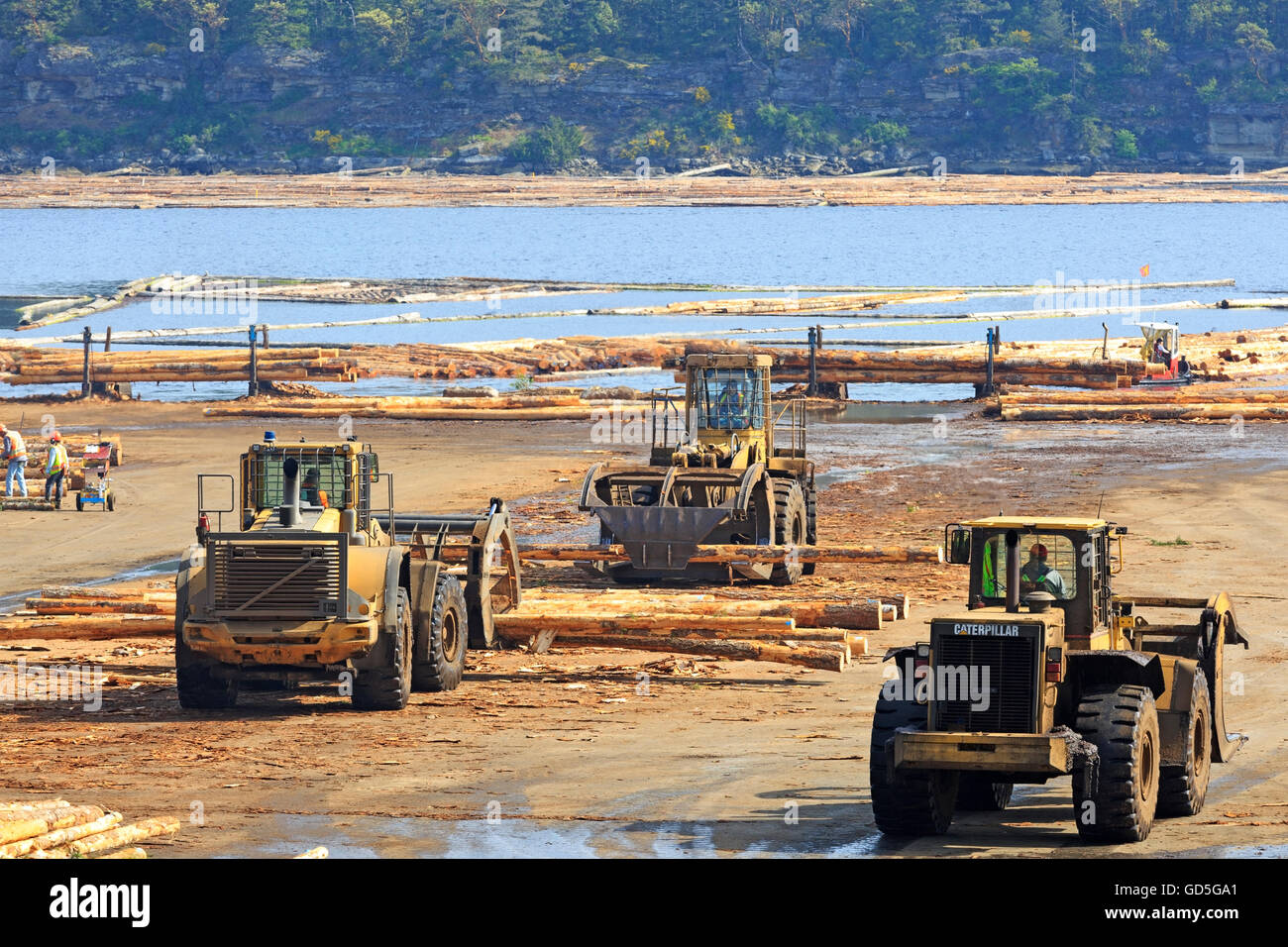 Loaders sorting logs at sawmill, Ladysmith, Vancouver Island, British ...