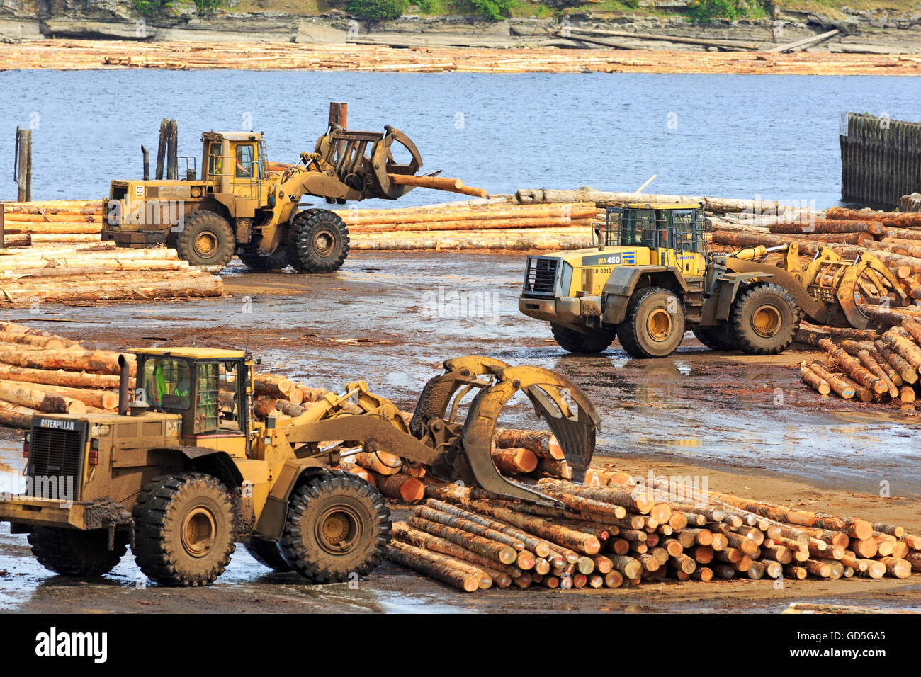 Loaders sorting logs at sawmill, Ladysmith, Vancouver Island, British ...