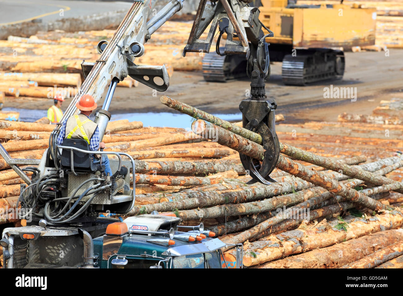 Self loading logging truck operator loading logs at sawmill, Ladysmith ...