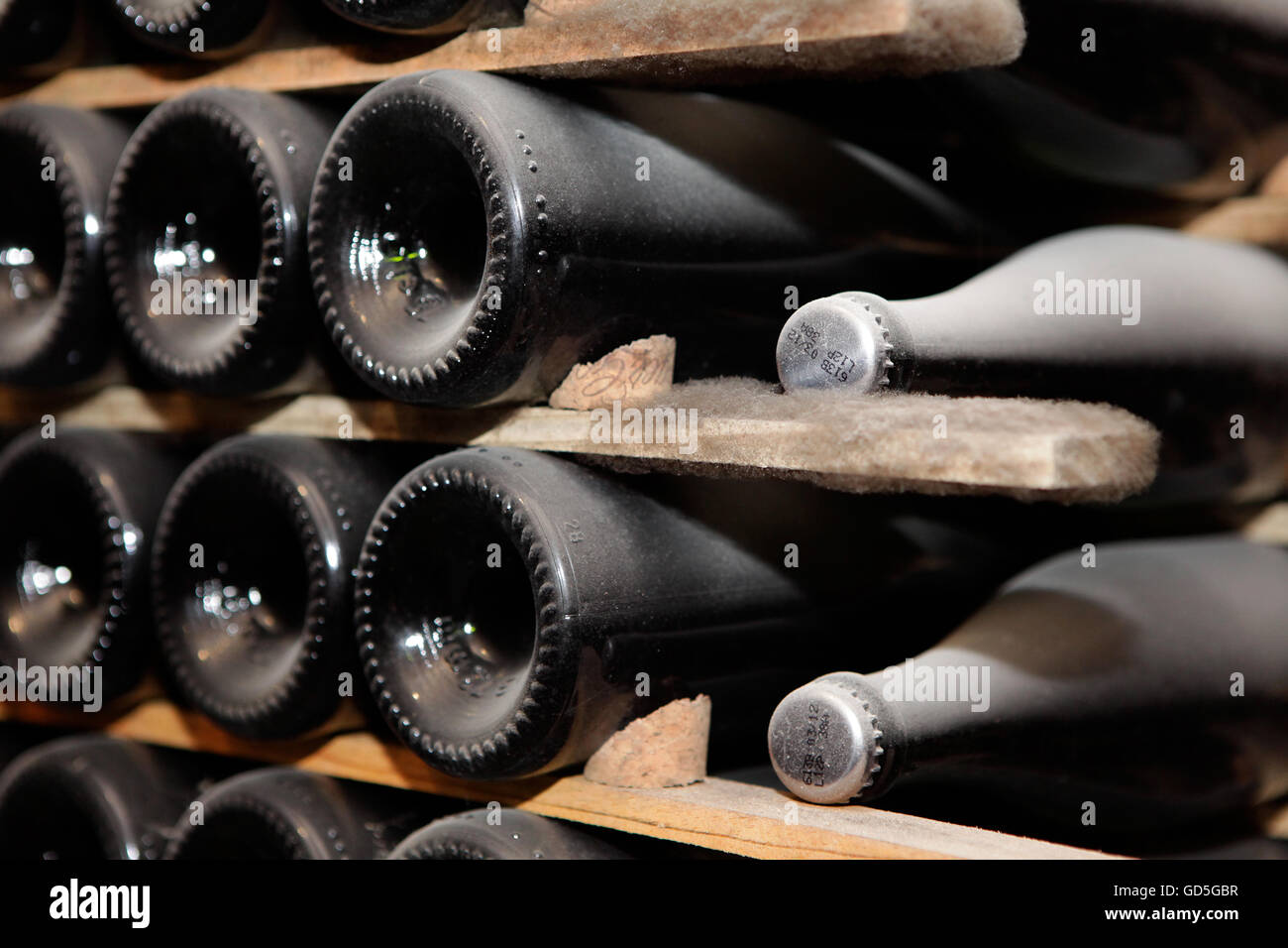 Cava bottles in a cellar of the Penedés wine region, Catalonia, Spain ...