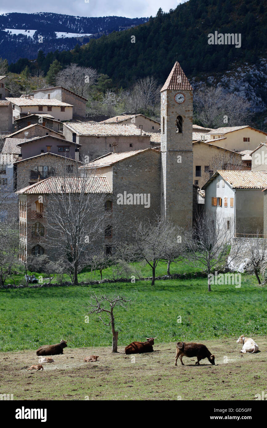 Gosol picasso hi-res stock photography and images - Alamy