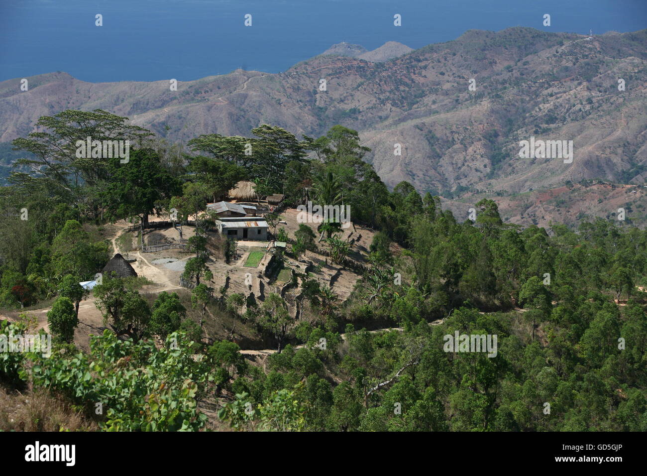 a vilage in the landscape near the city of Dili in the south of East ...