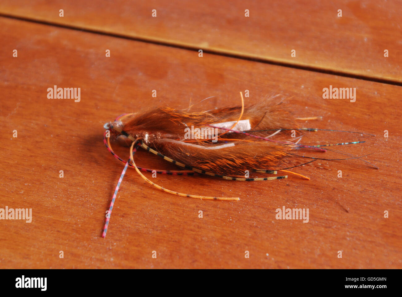 Streamer fly fishing flies hi-res stock photography and images - Alamy