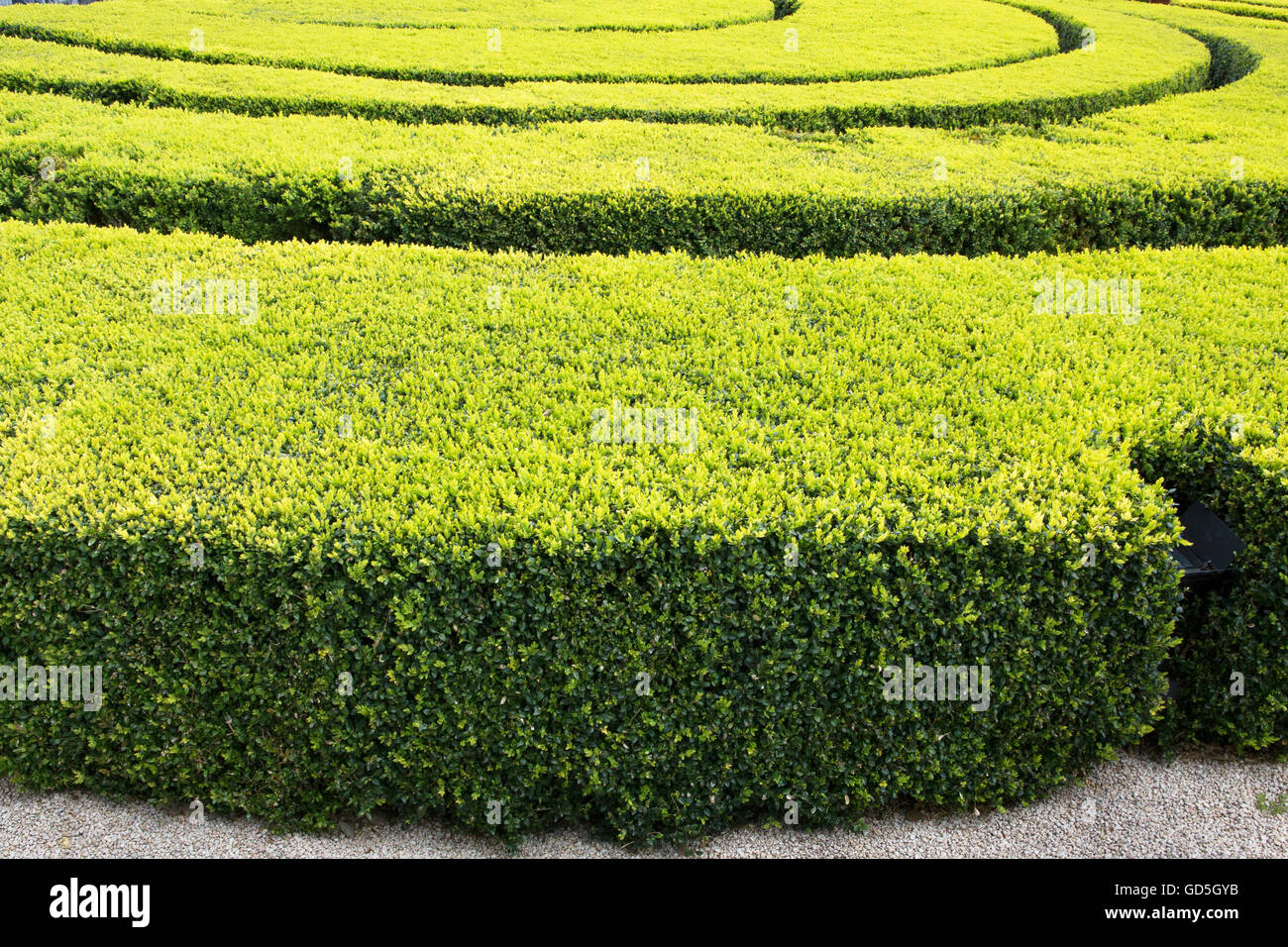 structure , hedge Stock Photo - Alamy