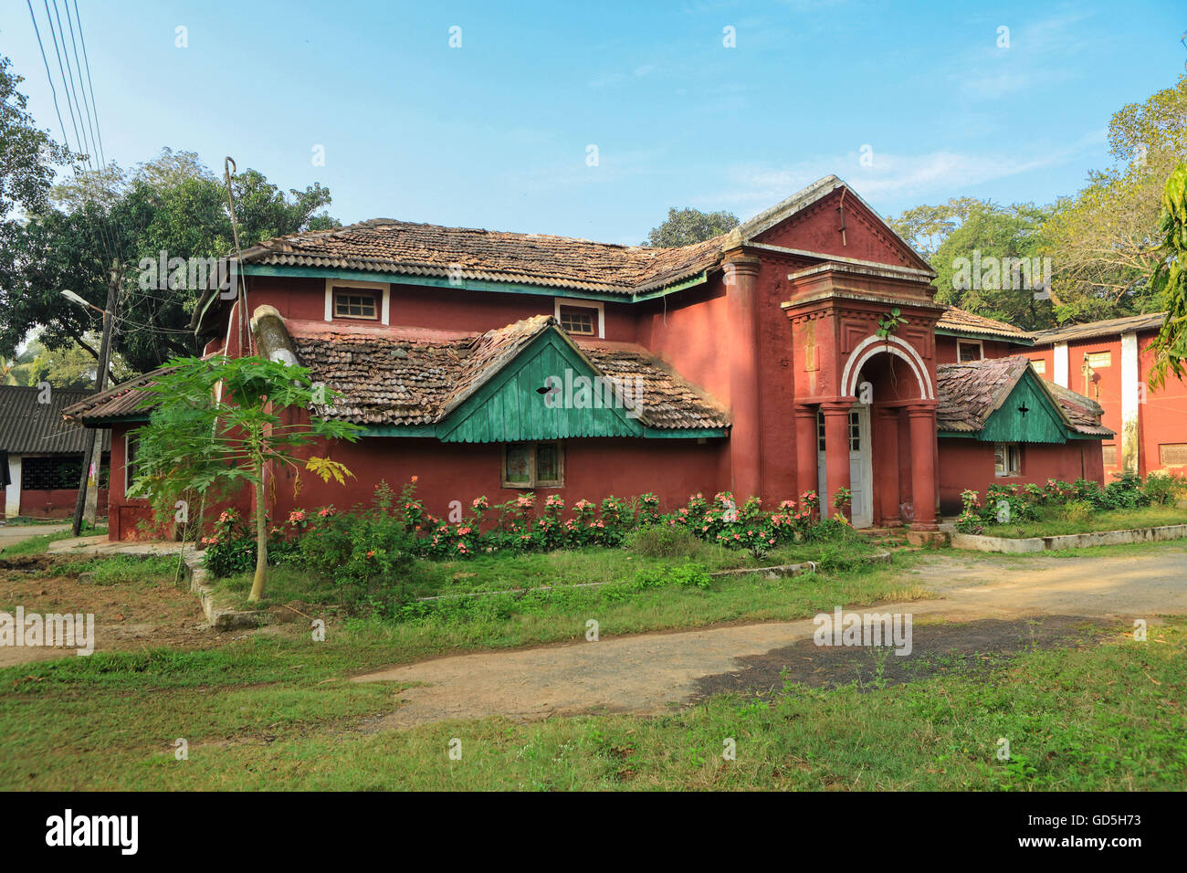 Tree chhattisgarh india asia hi-res stock photography and images - Alamy