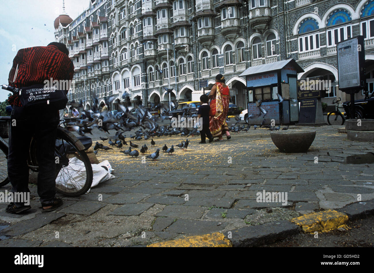 People feeding birds Stock Photo - Alamy