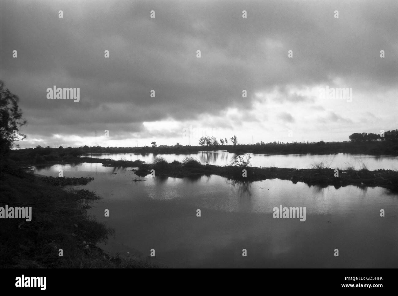 Swamp land Black and White Stock Photos & Images - Alamy