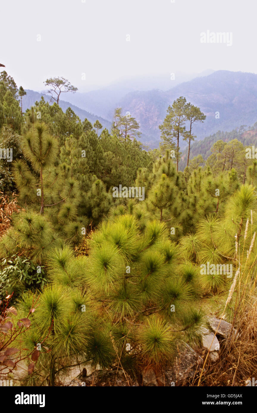 Jilling estate hi-res stock photography and images - Alamy