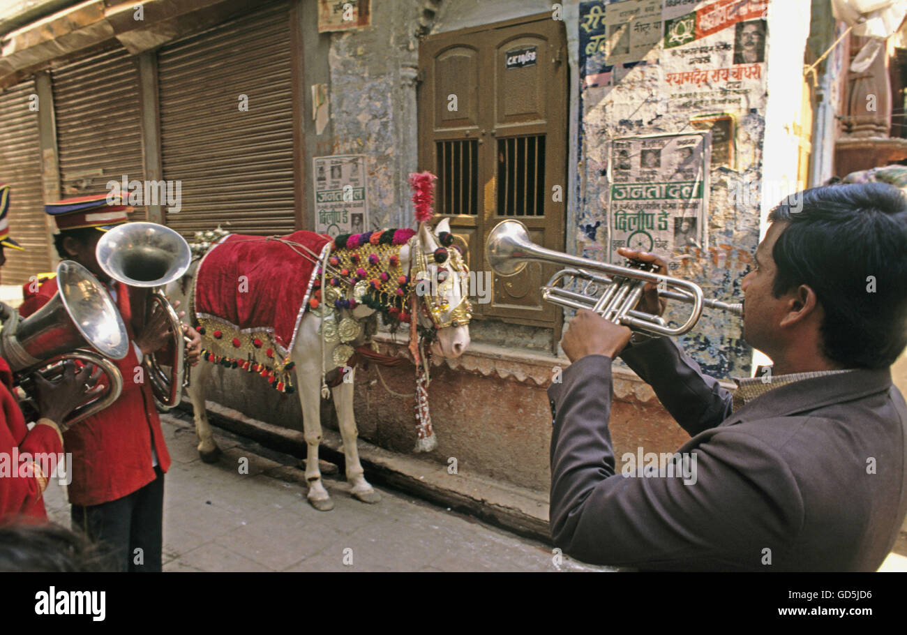 Man playing instrument Stock Photo - Alamy