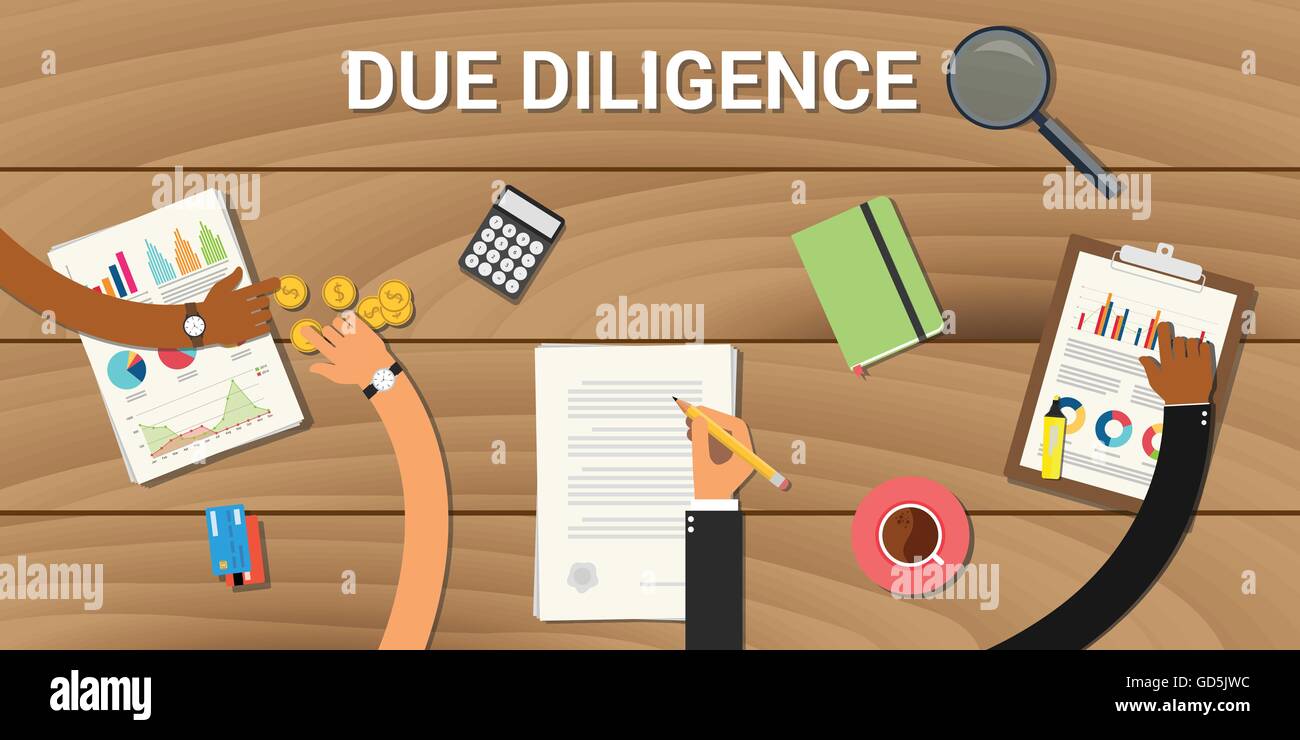 due diligence business graph data analysis vector graphic Stock Vector ...