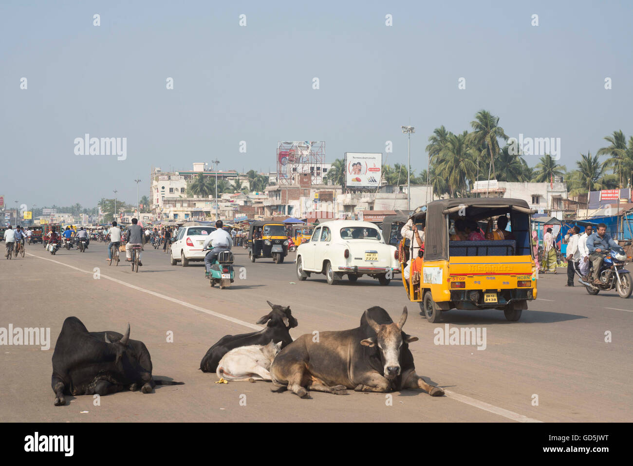 India orissa puri grand road hi-res stock photography and images - Alamy