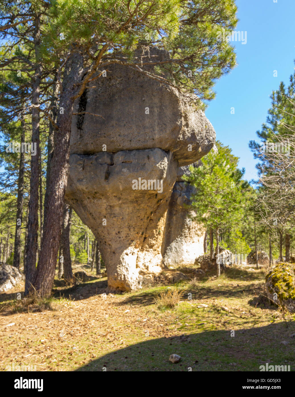 Capricious forms hi-res stock photography and images - Alamy