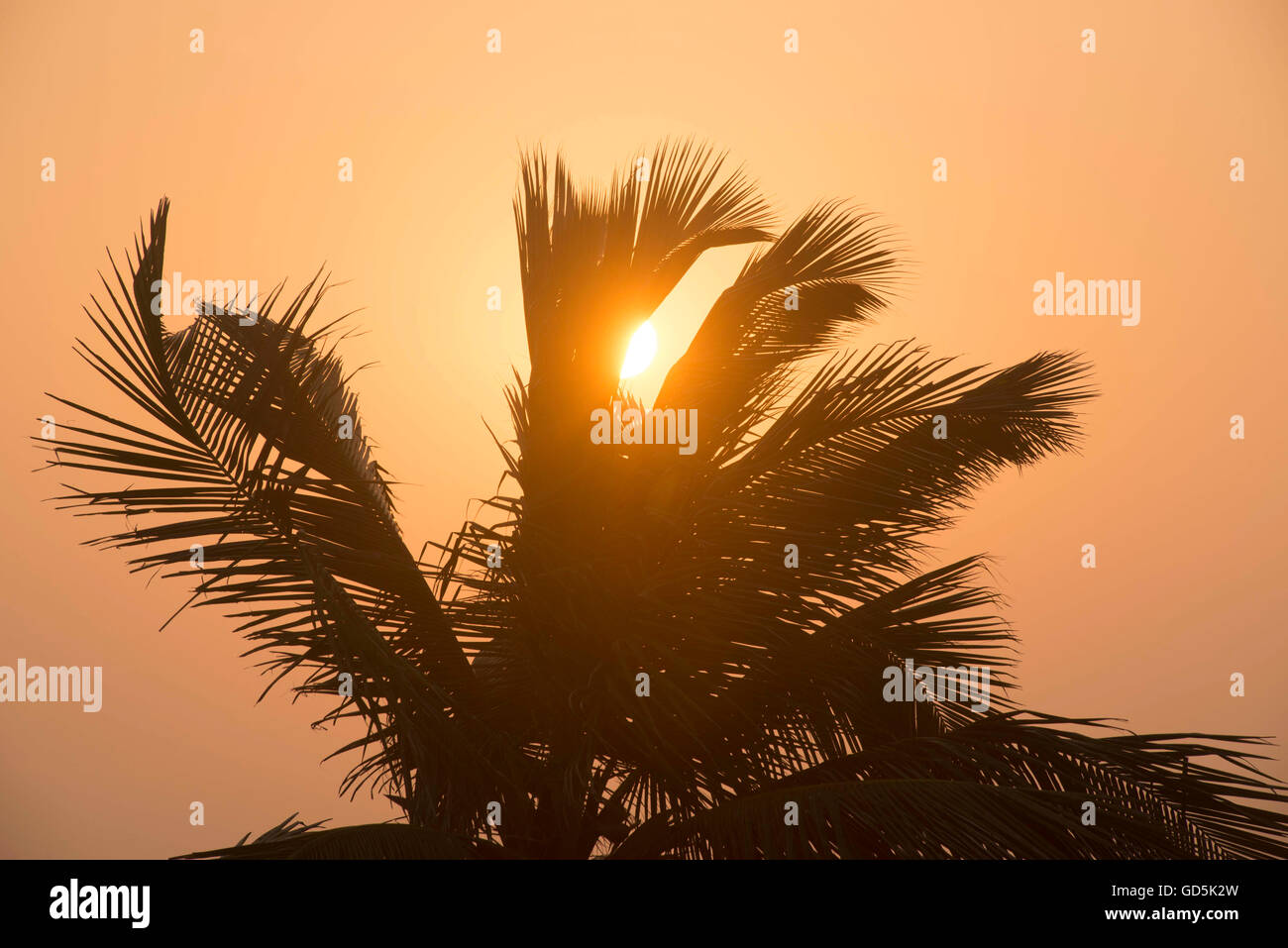 Orange puri hi-res stock photography and images - Alamy