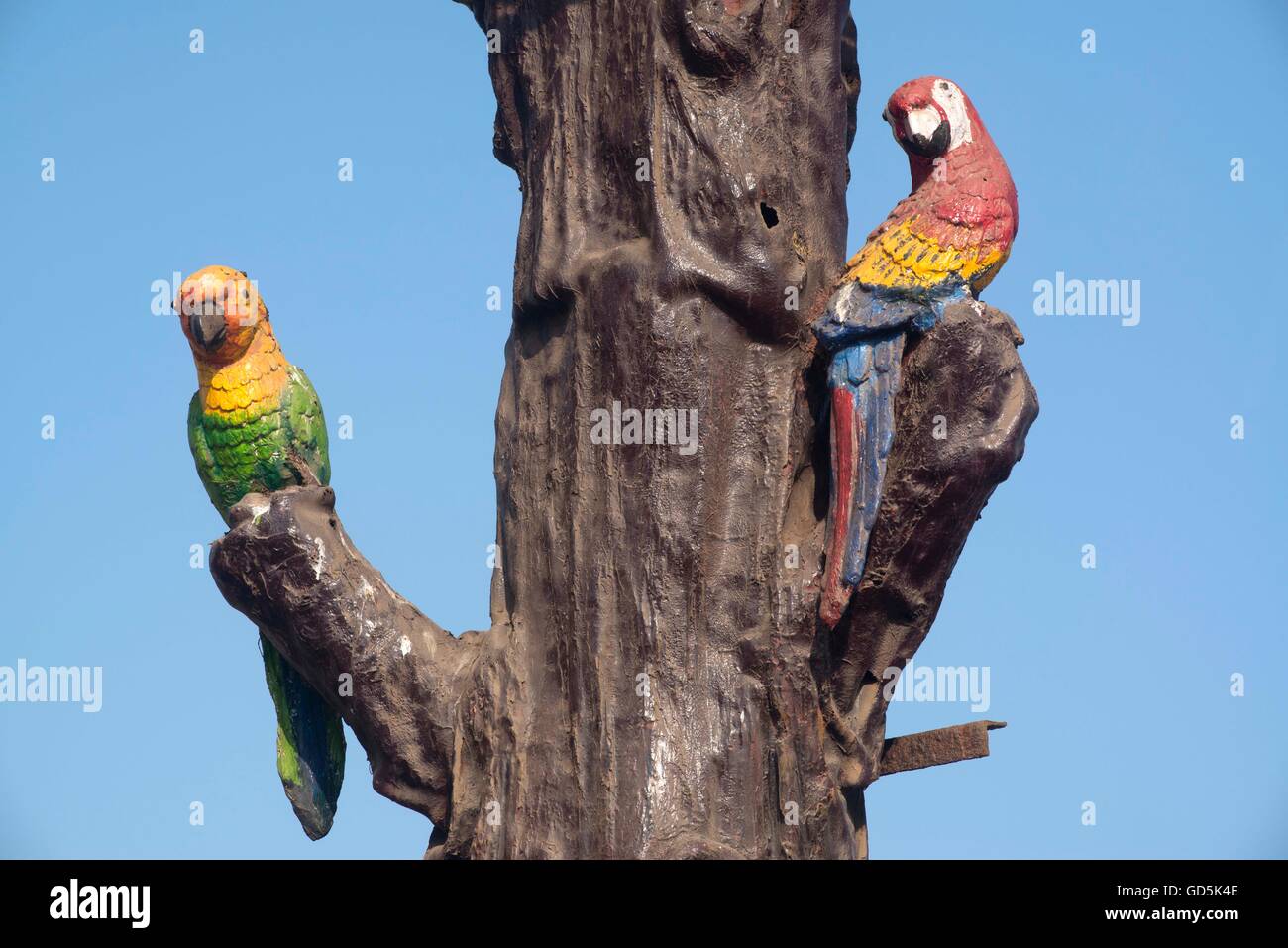 Orissa birds hi-res stock photography and images - Alamy