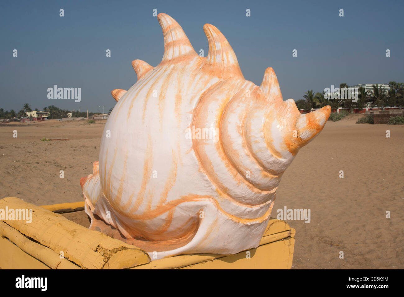 Empty conch shells hi-res stock photography and images - Alamy