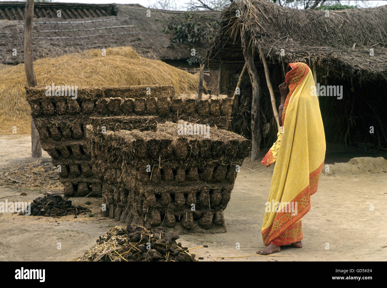 Cow dung hi-res stock photography and images - Alamy