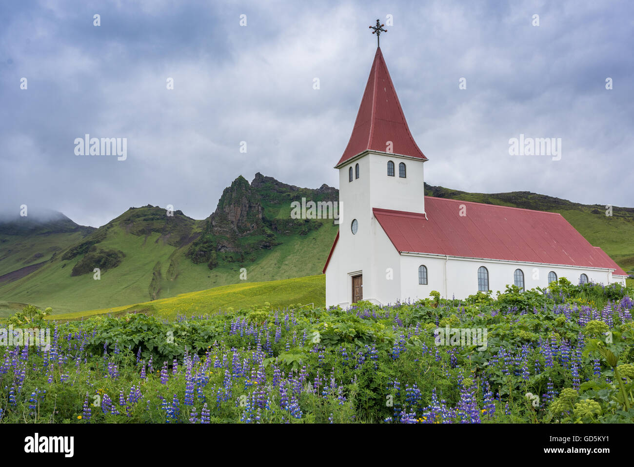 Vik church and lupine flowers hi-res stock photography and images - Alamy