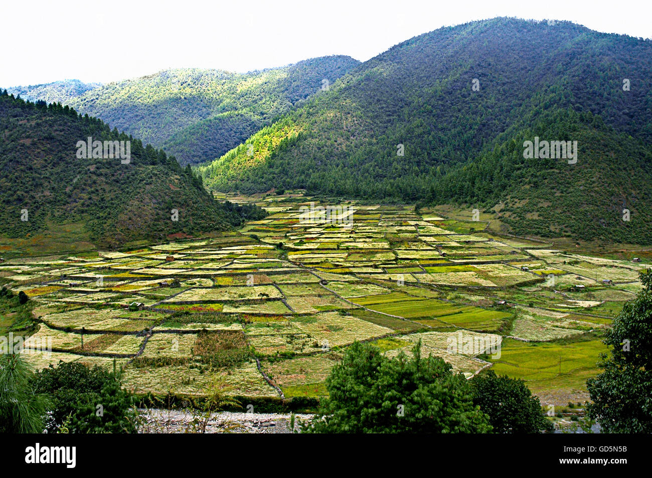 Dirang valley hi-res stock photography and images - Alamy