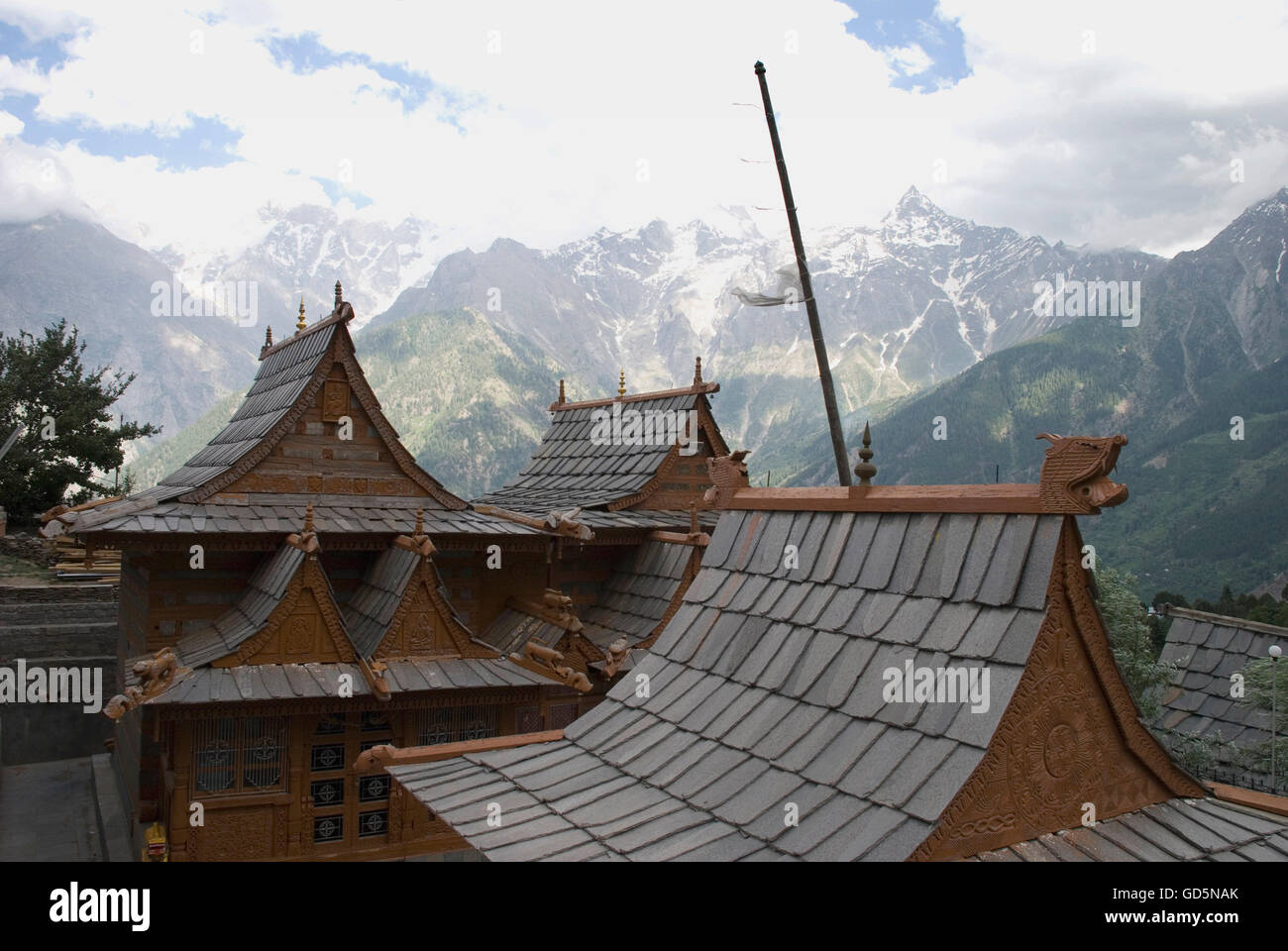 Nag hi-res stock photography and images - Alamy